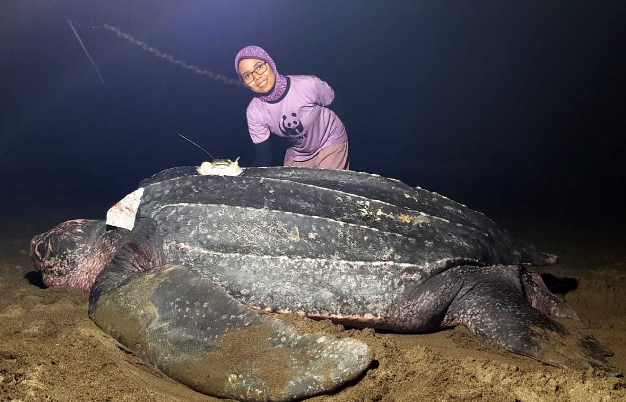 Dwi Suprapti, The Marine Animal Heroine – Climate Heroes